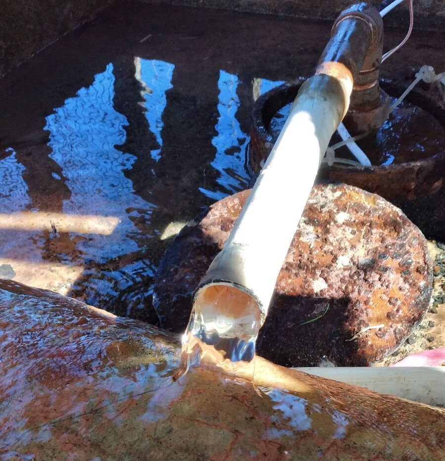 WISH Fiji – WISH Fiji